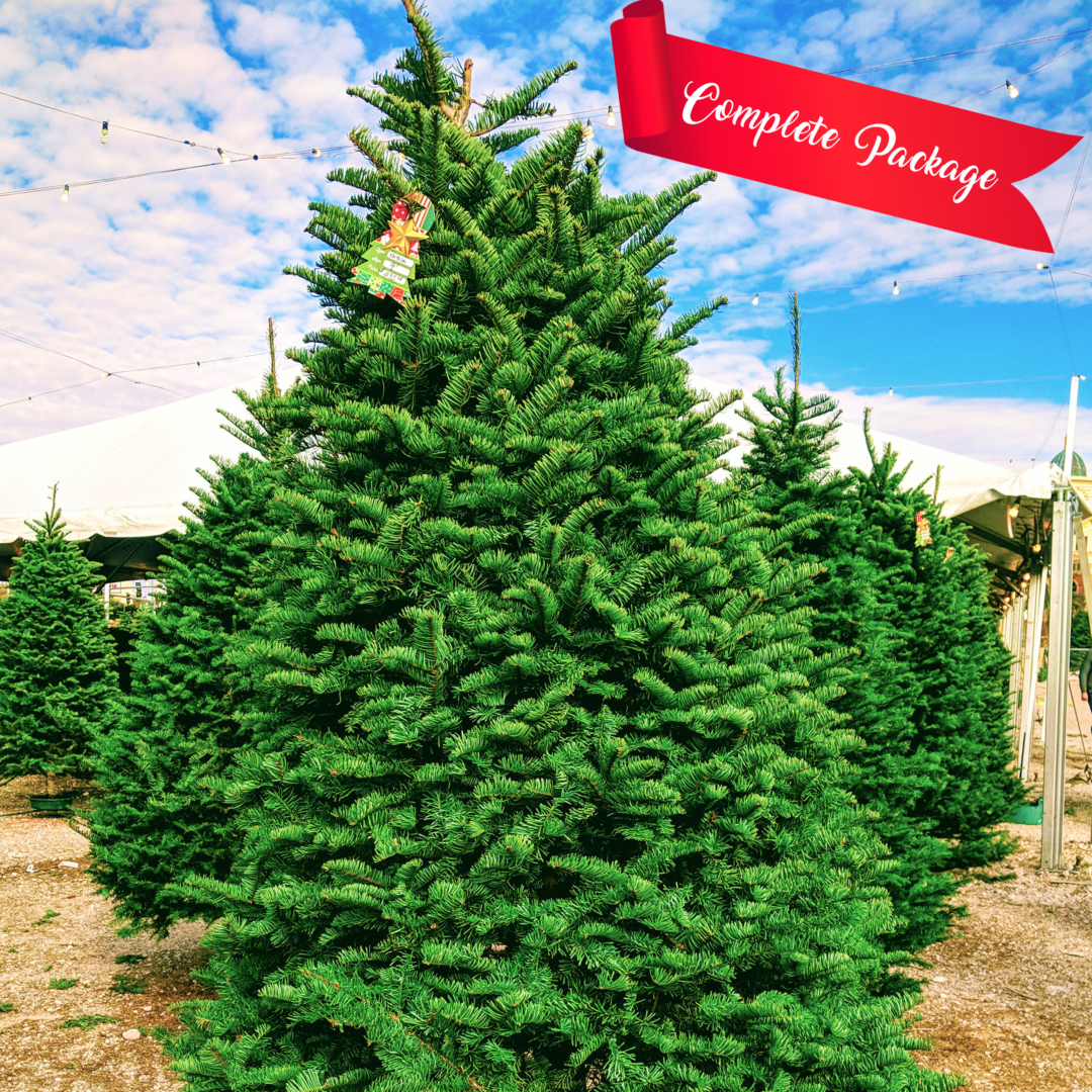 6′ Noble Fir – Complete Tree Package – Rudolph's Christmas Trees Las ...